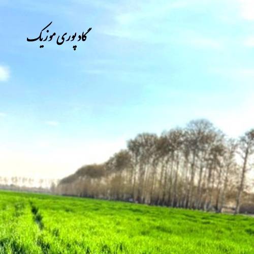 دانلود آهنگ کمبلد قناری (Ghanari)